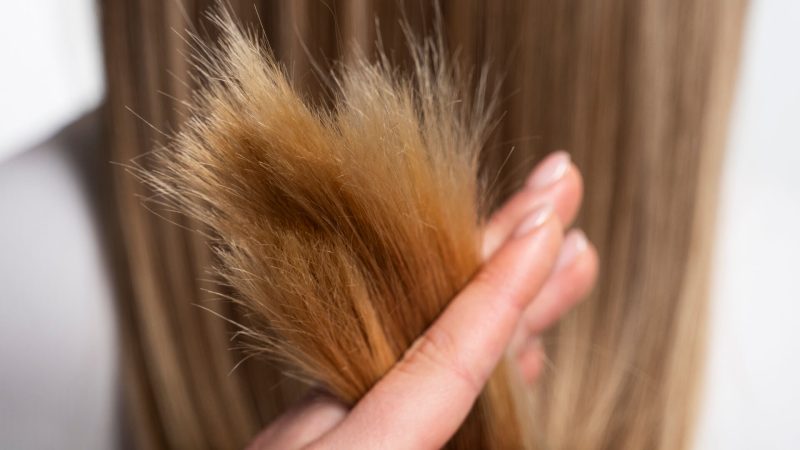 Cómo Saber si tu Pelo Necesita Hidratación, Nutrición, Reconstrucción o ...